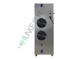 China Portable Household Ozone Generator Air Sanitizer Car Toilet Smoke Odour Eliminator Machine for sale