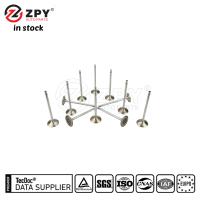 China ZPY Engine Intake Valve 06E109601T for Audi VW Porsche for sale