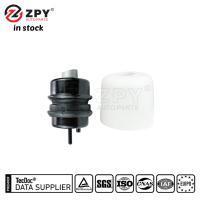 China ZPY Fuel Pump Assembly 3D0199381S for VW Audi Porsche 3.6L for sale