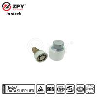China ZPY Anti Theft Screw A 4F0698139C801 for Audi VW Porsche for sale