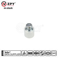 China ZPY 4F0698139805E Anti Theft Screw Tool For Audi A4 B9 A6 allroad Volkswagen for sale