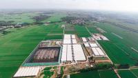 China Steel Structure Materials of  Livestock Farm Highly Cost-effective Construction Plan for sale