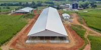 China Galvanized Light Steel Frames Single Layer Corrugated Steel Plate Roof Broiler House for sale