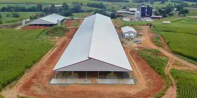 China Galvanized Light Steel Frames Single Layer Corrugated Steel Plate Roof Broiler House for sale