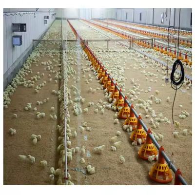 China Automatic Metal Cage Steel Structure Broiler Chicken Poultry House for sale