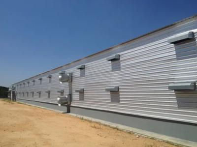 China Prefabricated Steel Structure Thermostatic Hot DIP Galvanized Steel Poultry Chicken House for sale