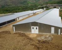 China Prefab Light Steel Frame Construction Structure Modular Frame Chicken Poultry Farm House for sale