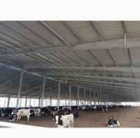 China Steel Structure Prefab Poultry House Wind Resistant Pre Engineered Steel Cowshed for sale