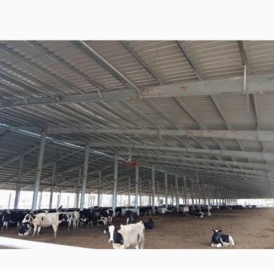 China Steel Structure Prefab Poultry House Wind Resistant Pre Engineered Steel Cowshed for sale