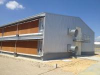 China Insulation Panel Prefab Steel Structure Metal Breeding Poultry Chicken House for sale