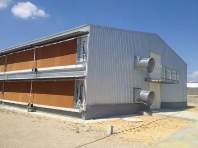China Insulation Panel Prefab Steel Structure Metal Breeding Poultry Chicken House for sale