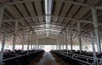 China Architecture Standard Prefabricated Steel Structure Frame Workshop for sale