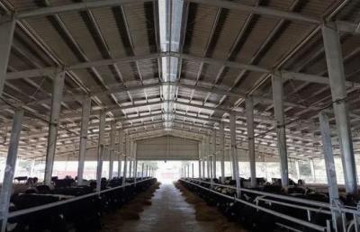 China Architecture Standard Prefabricated Steel Structure Frame Workshop for sale