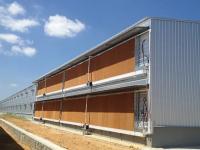 China Metal Prefab Anticorrosion Light Steel Structure Poultry House for sale
