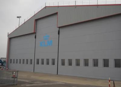 China High Strength Prefab Steel Frame Warehouse Building Construction Structural Medicinal Storage for sale