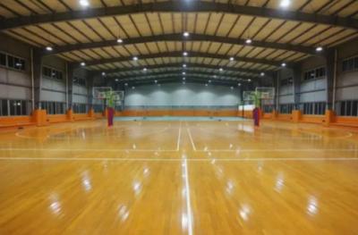 China Modular Pre Engineered Metal Commercial Buildings For Indoor Sports Hall Stadium for sale