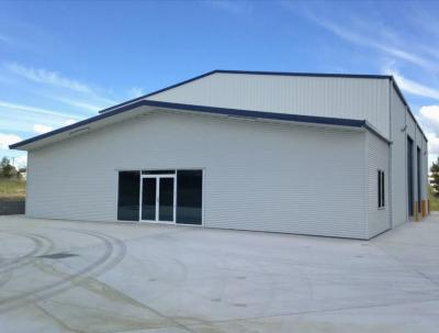China Prefabricated Steel Structure Industrial Construction Metal Workshop Frame Building with CE Certificate for sale