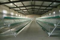 China High Strength Hot Dip Galvanized Steel Structure Livestock Barn Farm Shed for sale