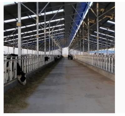 China Custom Galvanized Light Steel Structure Horse Cow Sheep Stables Farm Shed for sale