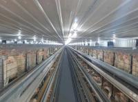 China Metal Poultry Breeding Base Pre Engineered Metal Building for sale