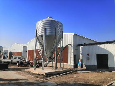 China Type H Laying Hens Breeding Chicken Automatic Equipment for sale