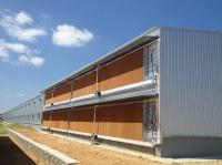 China Corrosion Resistance Prefab Poultry House Light Steel Frame Fiberglass Wool Panel for sale