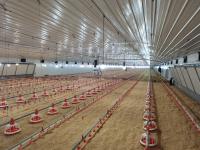China Hot Dip Galvanized Metal Steel Broiler Layer Poultry House With Automatic Brooding Equipment for sale