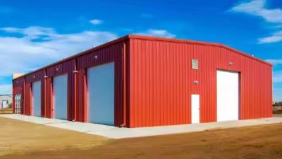 China Custom Size Steel Agricultural Buildings Grain Storage Building Complex for sale