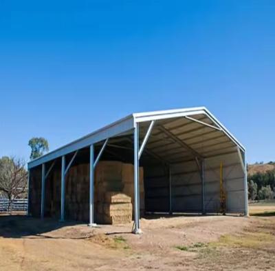 China Outdoor Storage Steel Shed Easy Installation Quick Build Customizable for sale