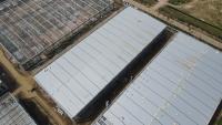 China Anti-Corrosion Steel Structure Workshop for Brewery/Tomato Processing/Machinery Factory (Low Cost) for sale