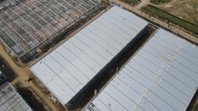 China Anti-Corrosion Steel Structure Workshop for Brewery/Tomato Processing/Machinery Factory (Low Cost) for sale