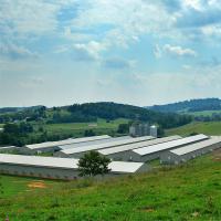 China Broiler Chicken Farming House Tunnel Ventilation Automatic Climate Control System for sale