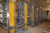 China Professional Facilities for Large-scale Breeding Modern Chicken Houses for sale