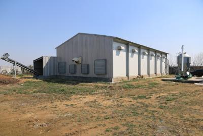 China Standardized Functional Breeding Space Modern Chicken Houses for sale
