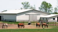 China Prefab Steel Structure Warehouse Customizable and Versatile Commercial Building for sale