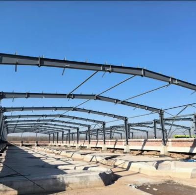China Custom Design Cost-Effective Steel Structure Building with Fast Installation for sale