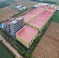 China Pre-engineered Steel Building with 50 Years Life Cycle, Quick Erection, and Cost Savings for sale