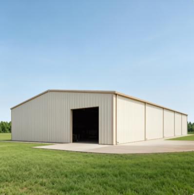 China Prefabricated Light Steel Structure Construction Shed Industrial Metal Garage for sale