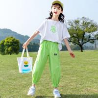 China BEIANJI 2-7 Years Old Girls Tops And Pants Two Pieces Children'S Suits for sale