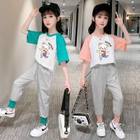 China ODM Spring Worsted Casual T Shirts Girls Tops 95% Cotton 5% Spandex for sale