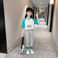 China ODM Spring Worsted Casual T Shirts Girls Tops 95% Cotton 5% Spandex for sale