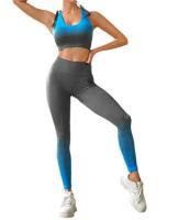 China Sportswear Quick Dry Yoga Suit Breathable Moisture Gradient Seamless Sports Suit for sale
