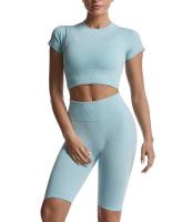 China Custom Clothing Workout Sets For Women 2 Piece Seamless Ribbed Crop Tank High Waist Shorts for sale