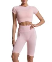 China Custom Clothing Workout Sets For Women 2 Piece Seamless Ribbed Crop Tank High Waist Shorts for sale