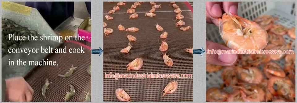 Industrial Microwave Cook Shrimp and Prawn Industrial Microwave Cook Shrimp and Prawn