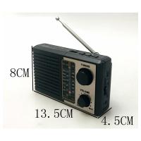 China High Powerful for Speaker AM/FM Radio Portable Rechargeable Battery Pack Plastic Screen for sale