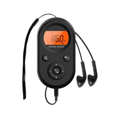 China OEM Factory  Portable Pocket Radio Receiver Mini Home AM FM Radio with LCD Display Powered Fm RadioHand   Mini Radio for sale