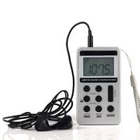 China High Quality DSP Digital AM FM Band Portable Radio Featuring USB Charging & Earphone for sale