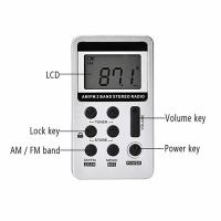 China High Quality DSP Digital AM FM Band Portable Radio Featuring USB Charging & Earphone for sale