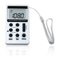 China Hot Selling Pocket Digital Mini Radio with LCD Display Portable MP3 AM FM Radio Recorder for Speaker Use Promotions! for sale